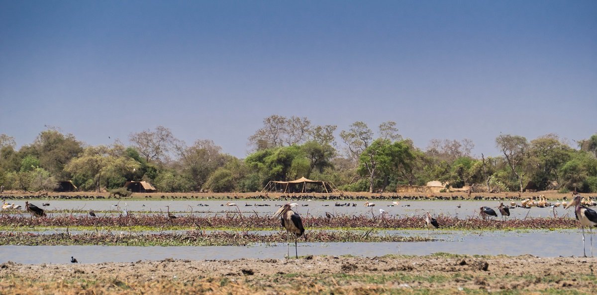 Chad 2019 - Central African Savannah and Wonders of the Sahara - Chad ...