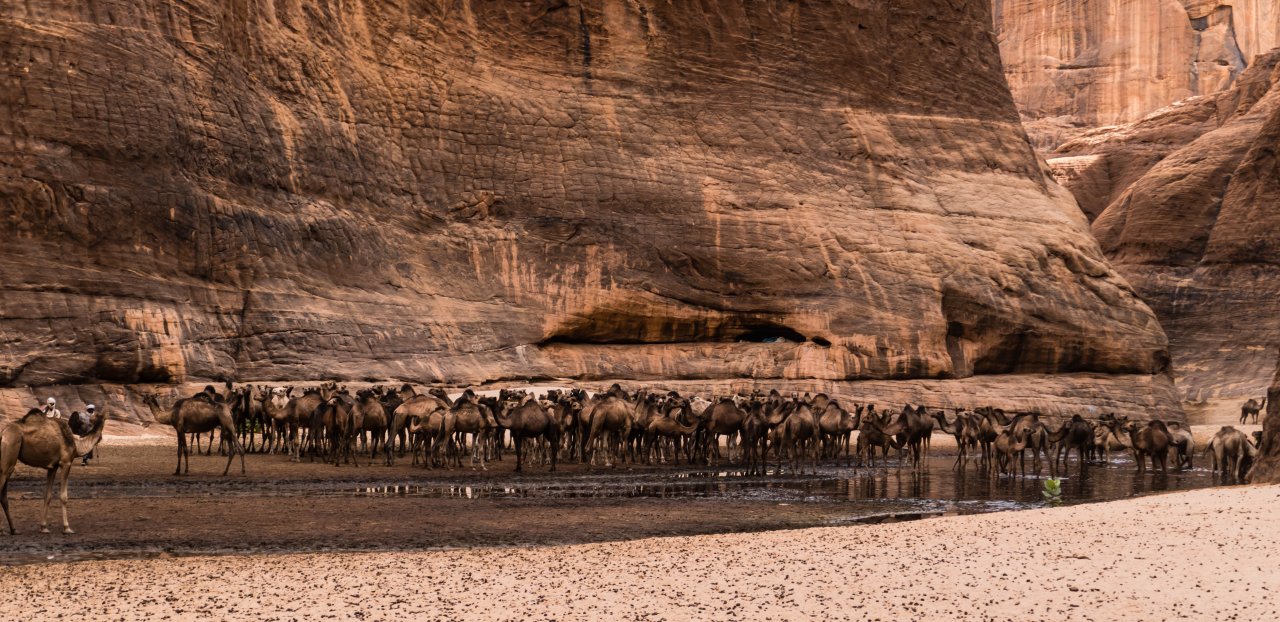 Chad 2019 - Central African Savannah and Wonders of the Sahara - Chad ...