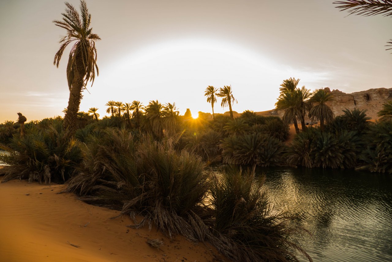 Chad 2019 - Central African Savannah and Wonders of the Sahara - Chad ...