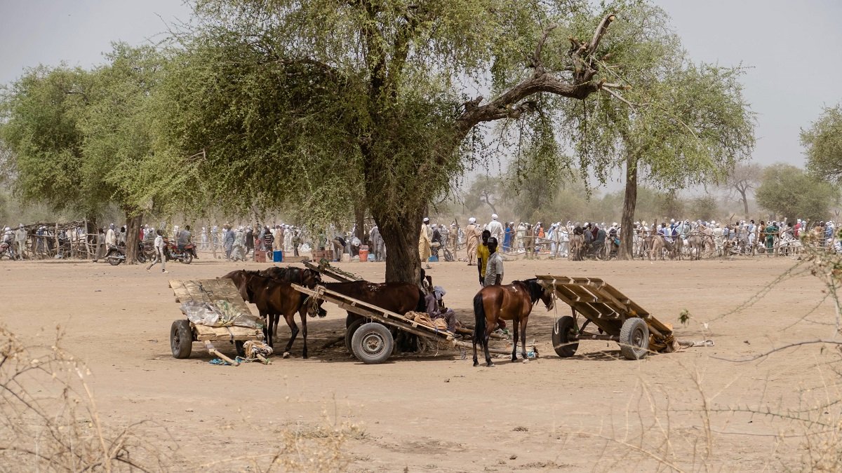 Chad 2019 - Central African Savannah and Wonders of the Sahara - Chad ...