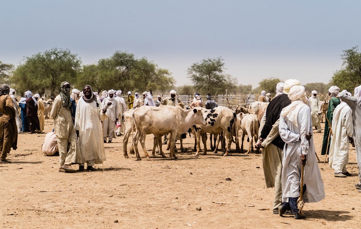 Chad 2019 - Central African Savannah and Wonders of the Sahara - Chad ...