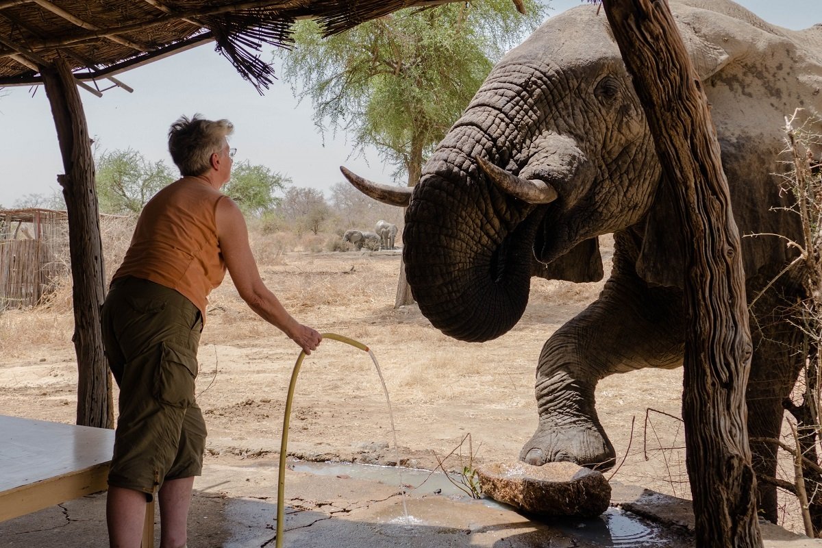 Chad 2019 - Central African Savannah and Wonders of the Sahara - Chad ...