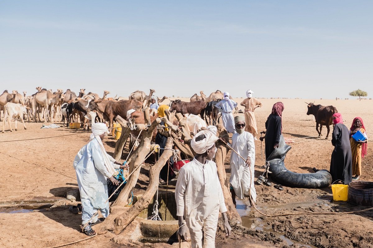 Chad 2019 - Central African Savannah and Wonders of the Sahara - Chad ...