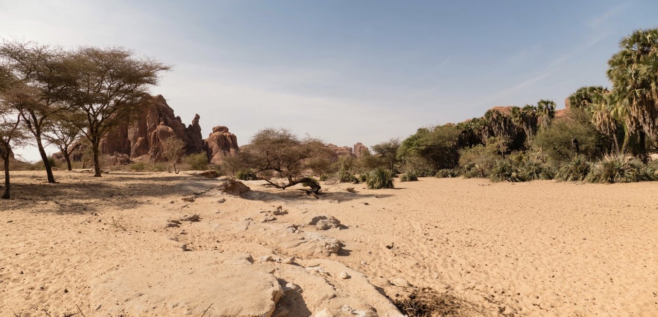 Chad 2019 - Central African Savannah and Wonders of the Sahara - Chad ...