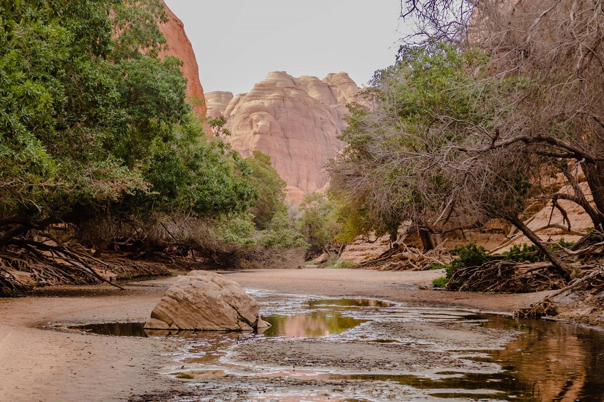 Chad 2019 - Central African Savannah and Wonders of the Sahara - Chad ...