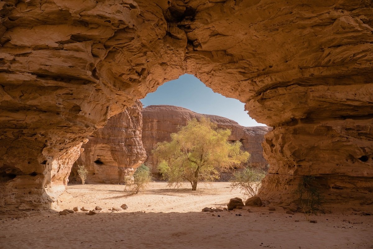 Chad 2019 - Central African Savannah and Wonders of the Sahara - Page 2 ...