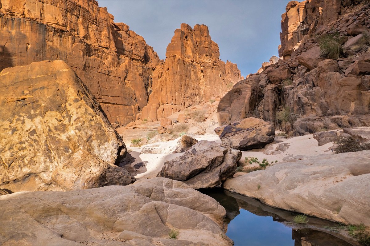 Chad 2019 - Central African Savannah and Wonders of the Sahara - Page 2 ...