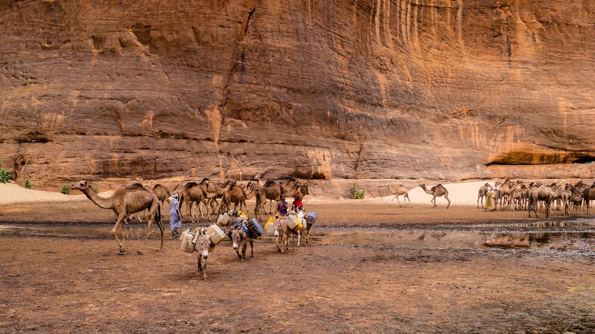 Chad 2019 - Central African Savannah and Wonders of the Sahara - Page 2 ...