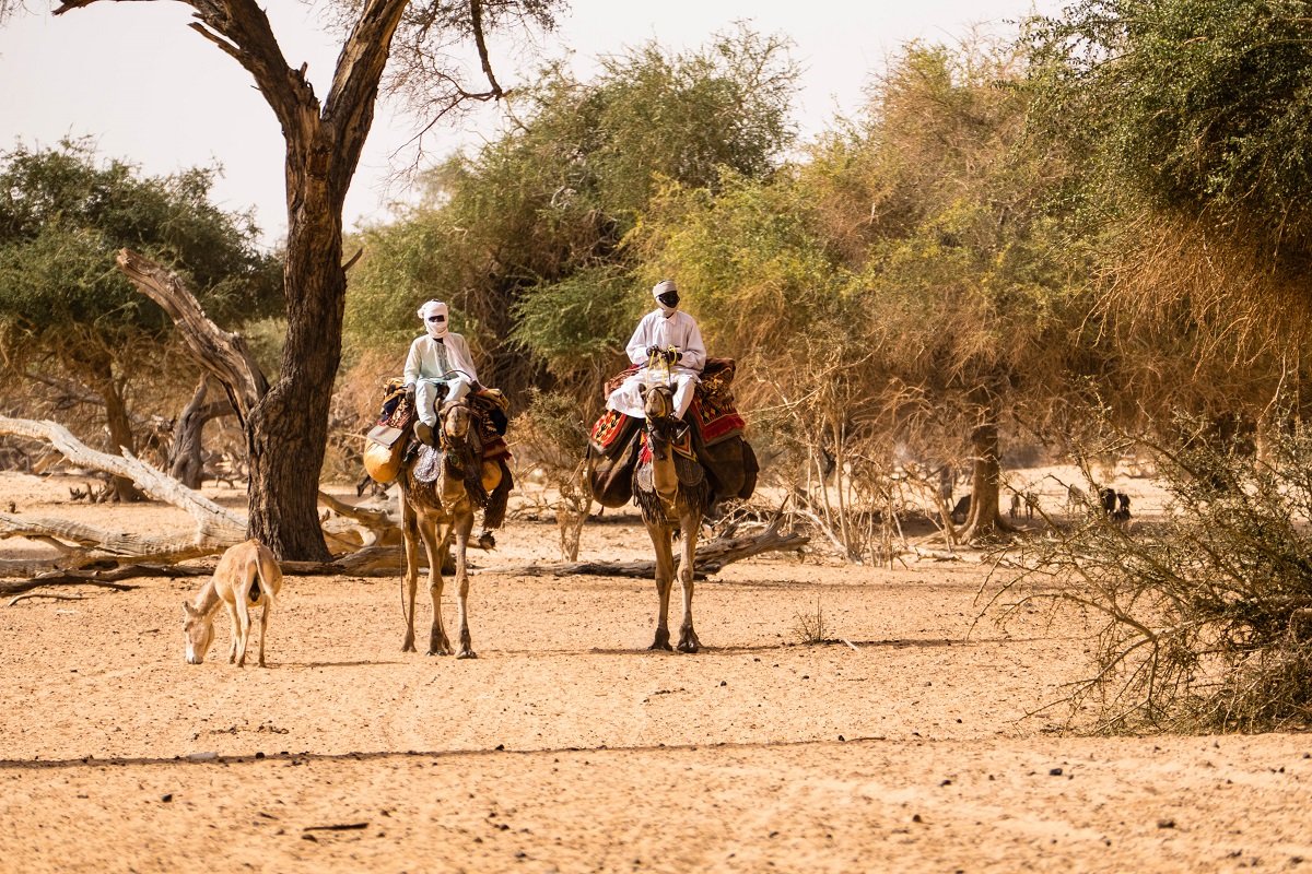 Chad 2019 - Central African Savannah and Wonders of the Sahara - Page 2 ...