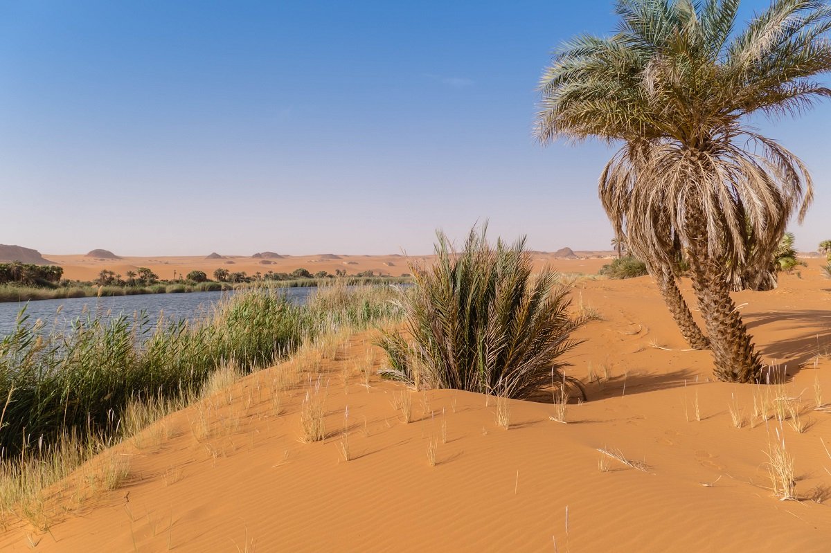 Chad 2019 - Central African Savannah and Wonders of the Sahara - Page 2 ...