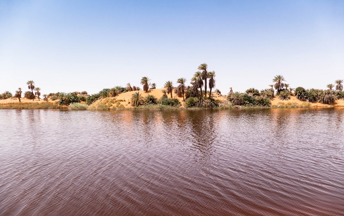 Chad 2019 - Central African Savannah and Wonders of the Sahara - Page 2 ...