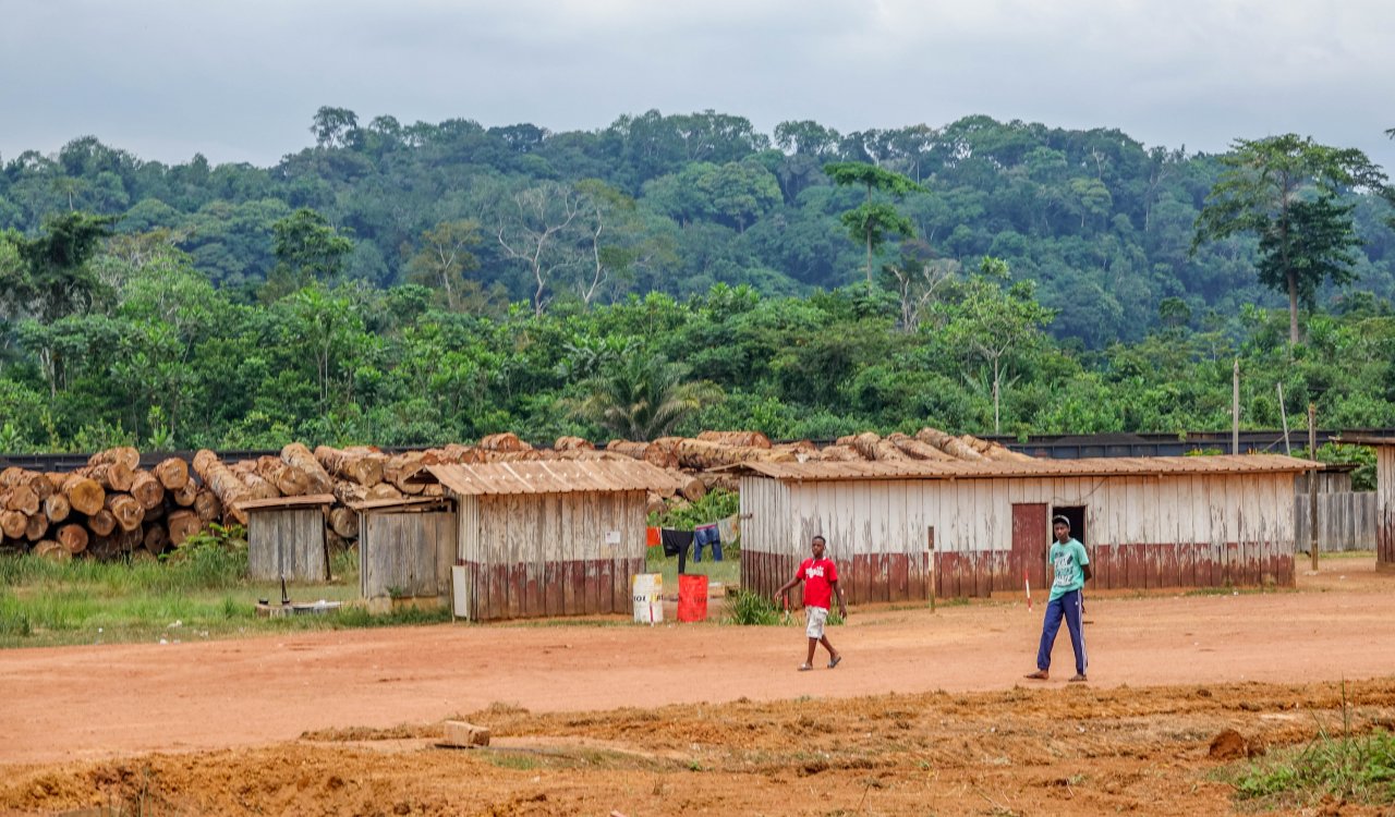 Into the Heart of Madness - This is Gabon! - Page 3 - Gabon - Safaritalk