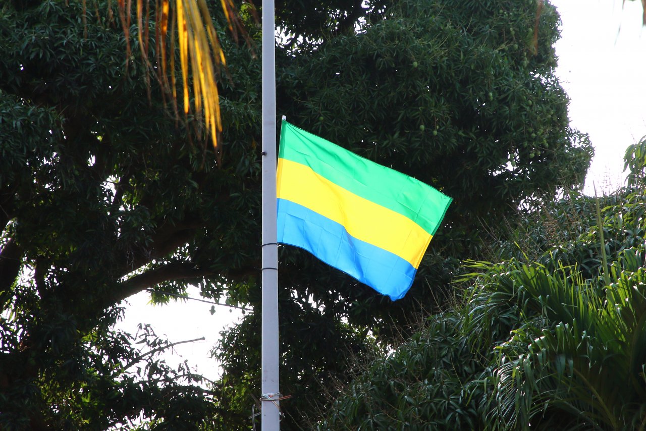 Into the Heart of Madness - This is Gabon! - Gabon - Safaritalk