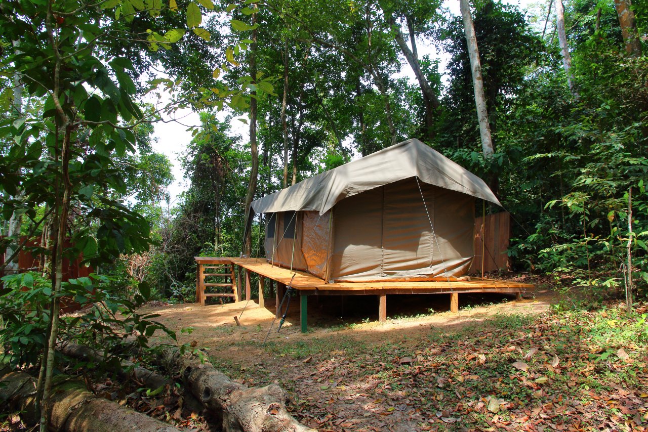 Into the Heart of Madness - This is Gabon! - Page 8 - Gabon - Safaritalk