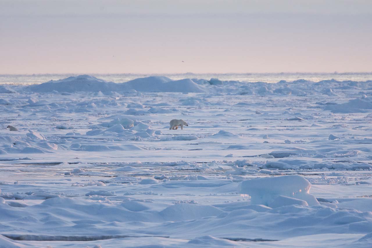 A Trip to the Top of the World: Svalbard, August 2019 - Page 4 - Europe ...