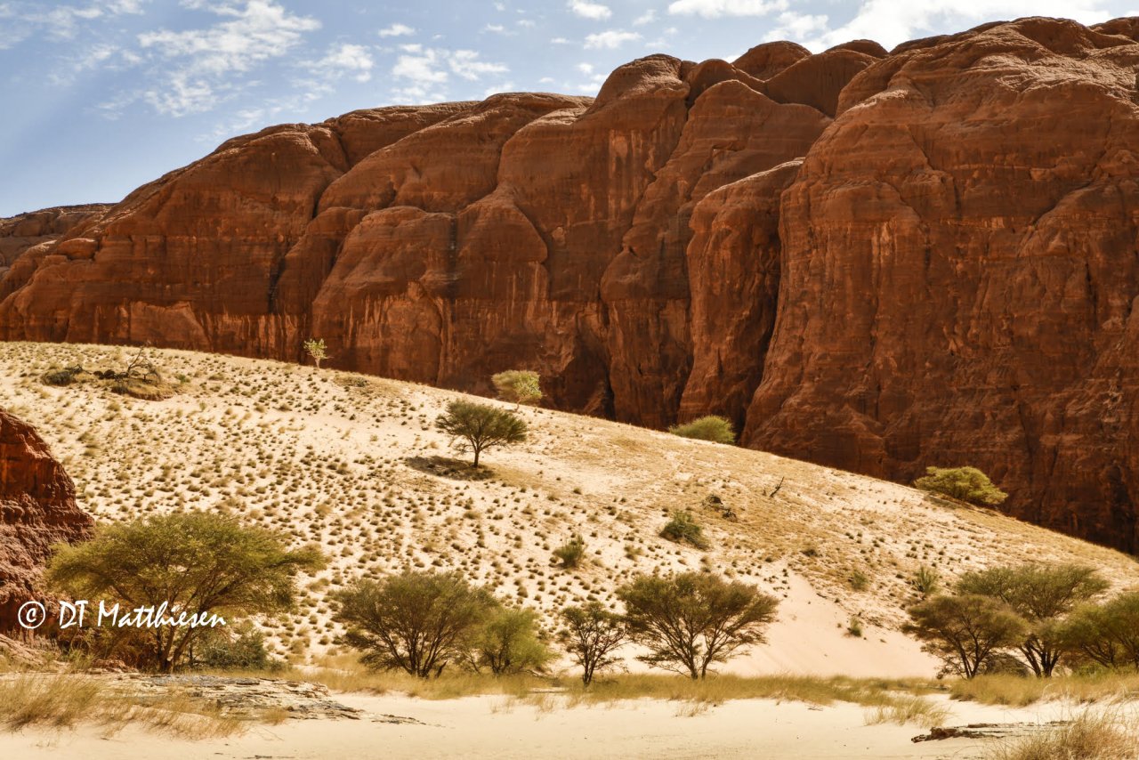 Ennedi: The Lost Kingdom - Chad / Central African Republic - Safaritalk
