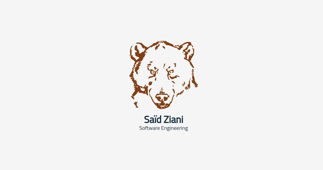 Saïd Ziani - Personal Website