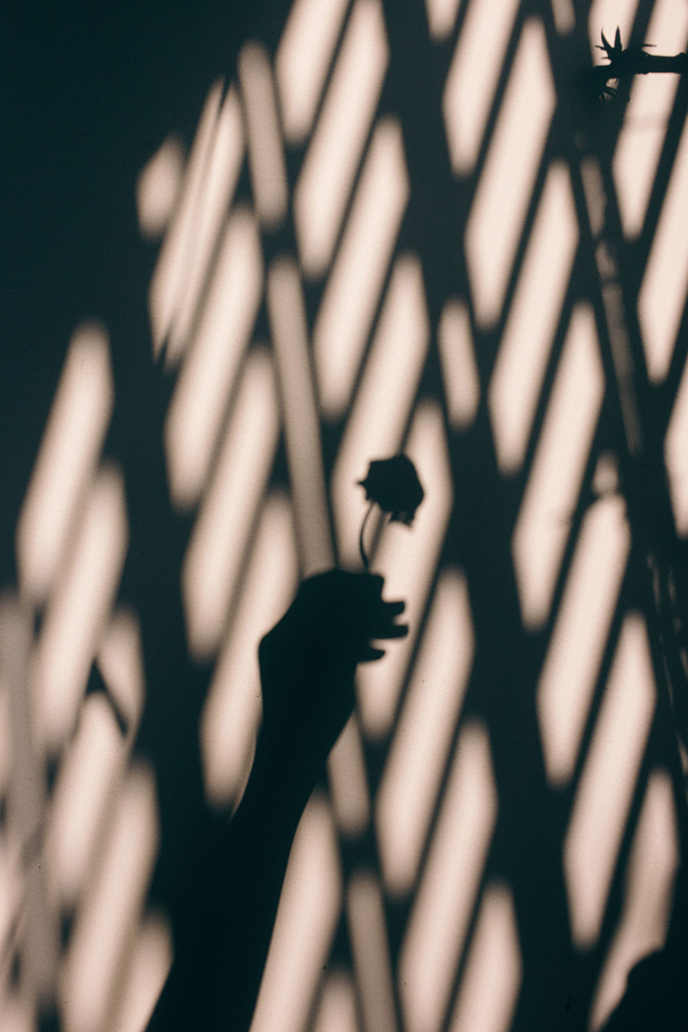 Find Downtown Milwaukee's Best Restaurants at… | Saint Kate Arts Hotel