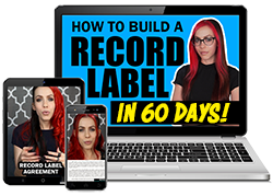 Build A Record Label