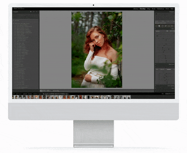 Seasons Ai Film Desktop Presets Best-Selling Lightroom Editing
