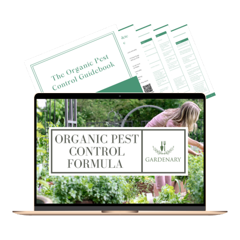 Gardenary Planting Method