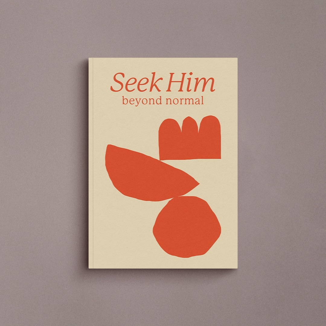 Seek Him - Beyond Normal