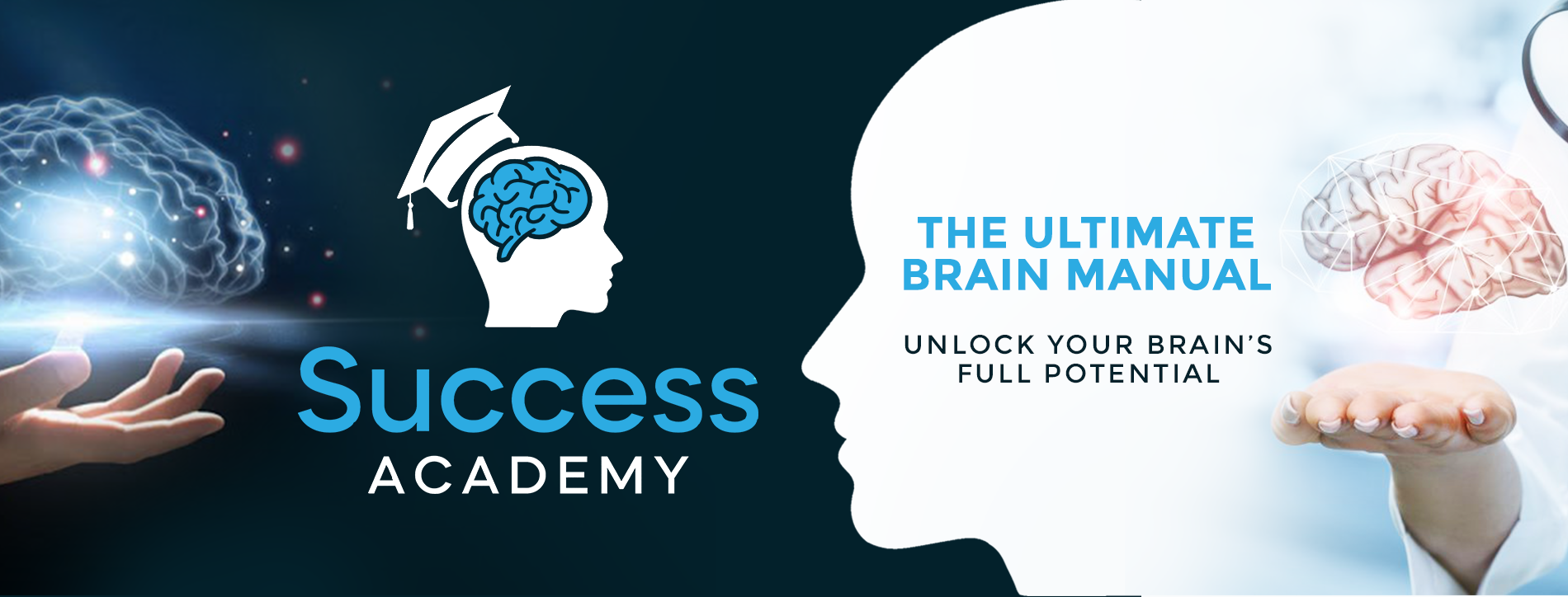 The Ultimate Brain Manual