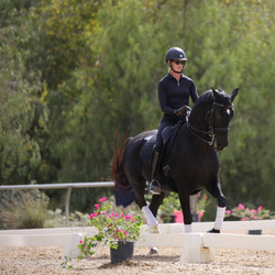 Rider Position Blueprint