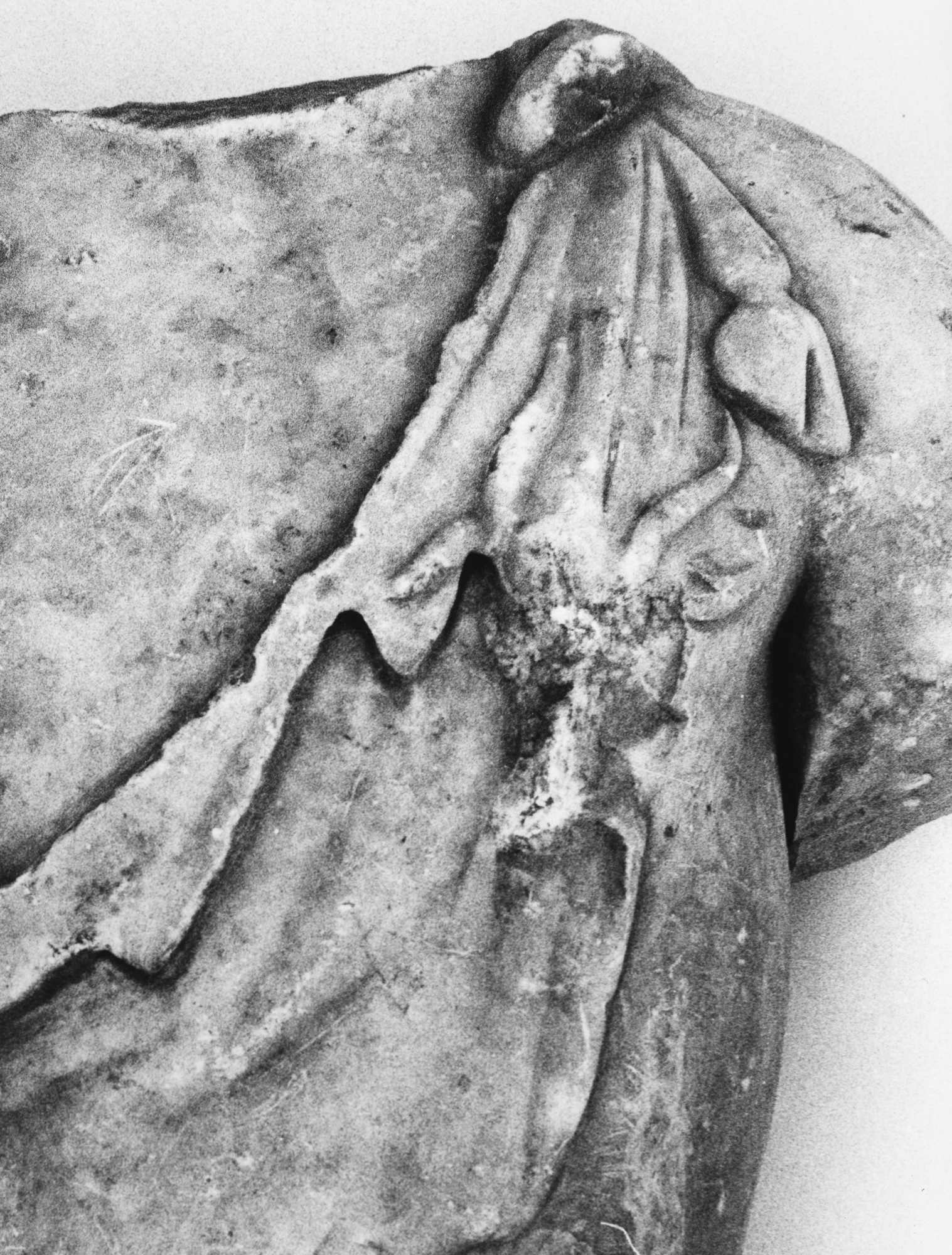 The Archaeological Exploration of Sardis