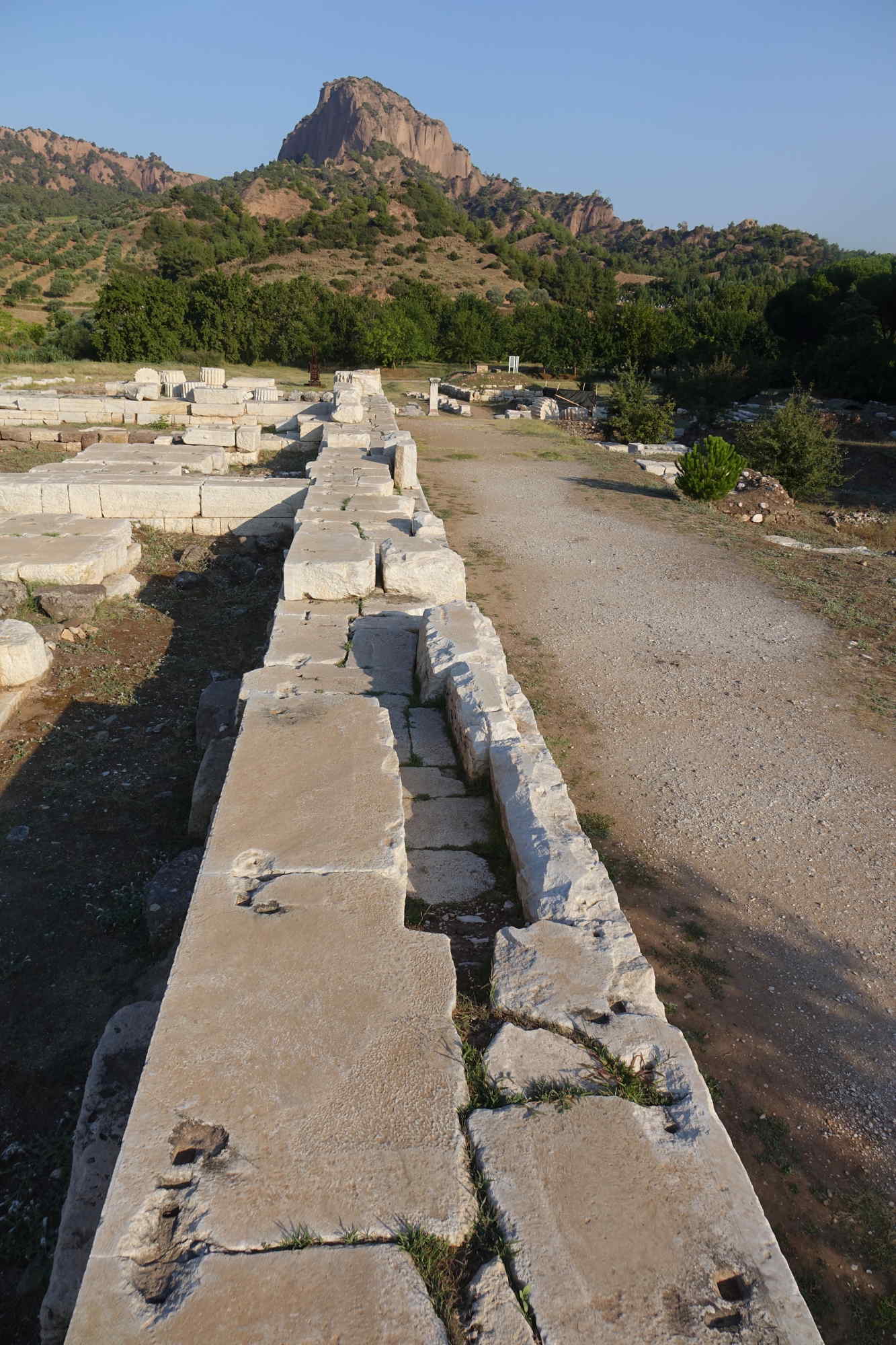 The Archaeological Exploration of Sardis