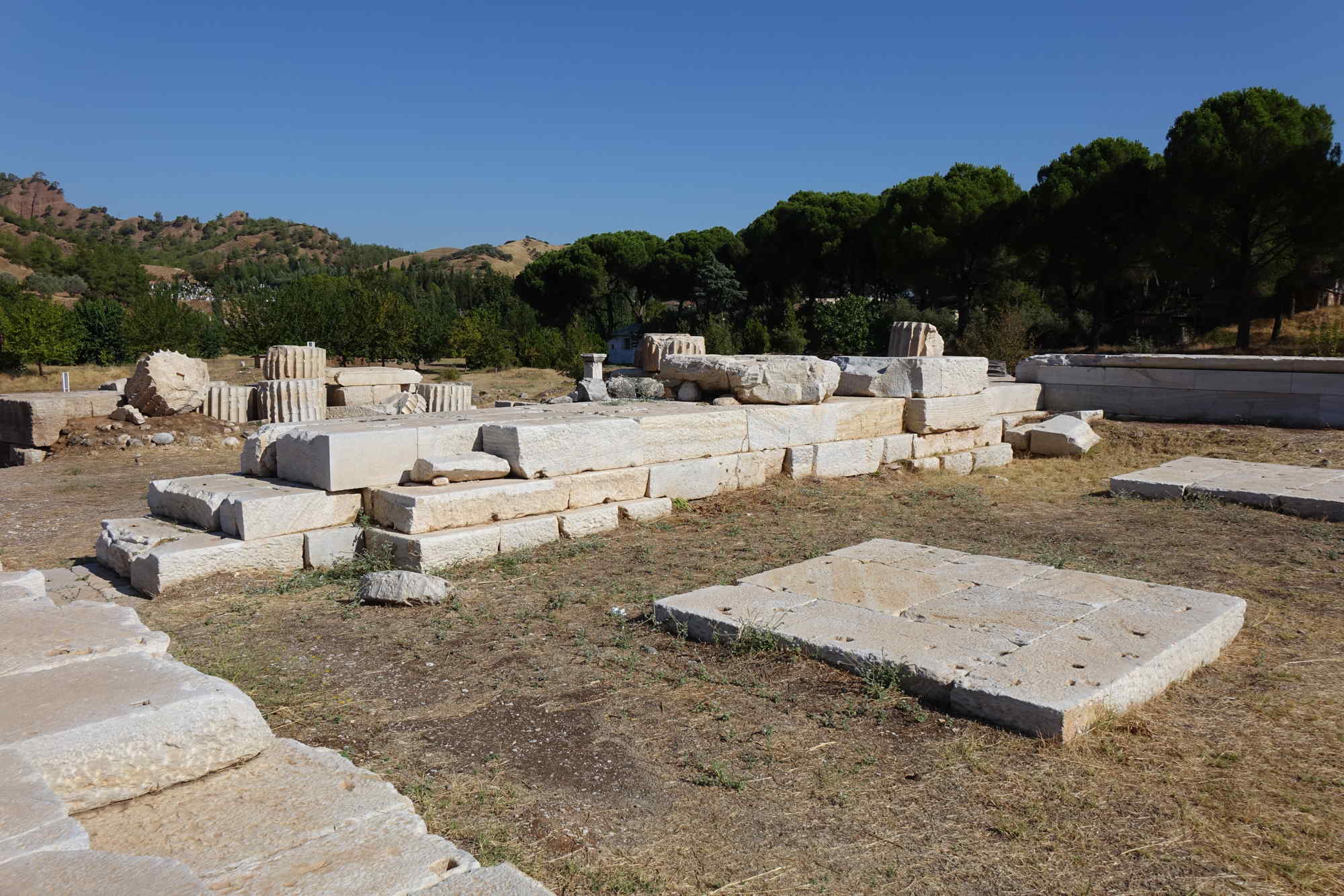 The Archaeological Exploration of Sardis
