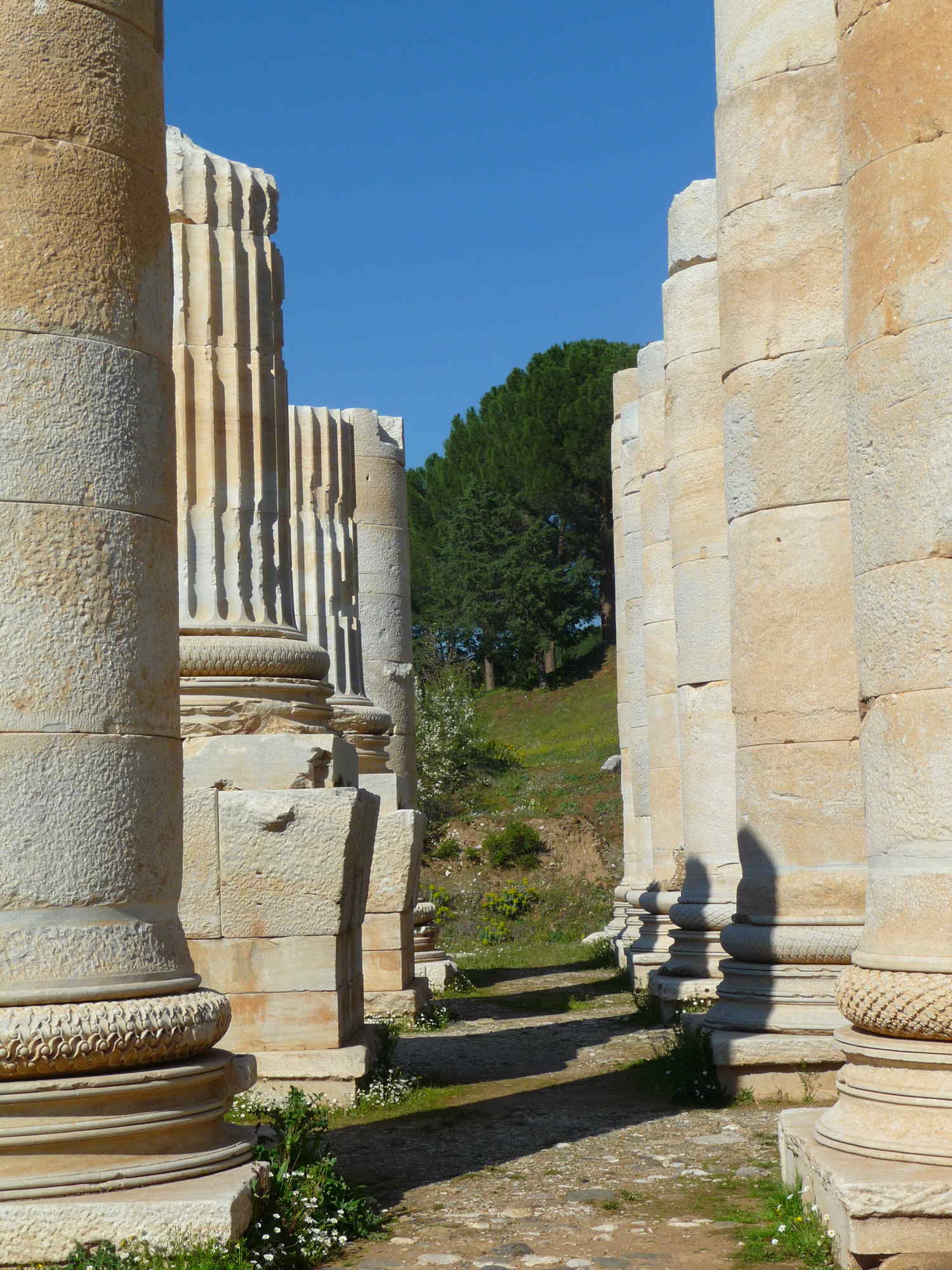 The Archaeological Exploration of Sardis