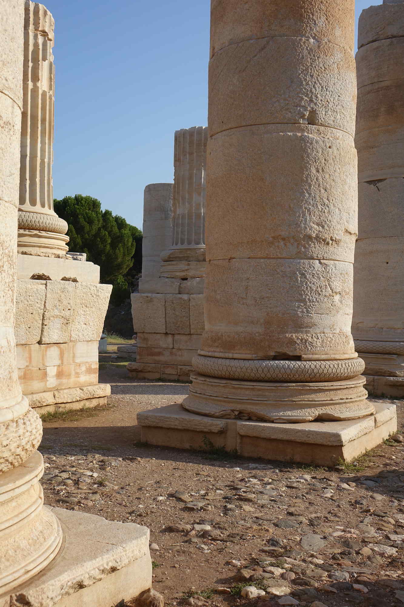 The Archaeological Exploration of Sardis