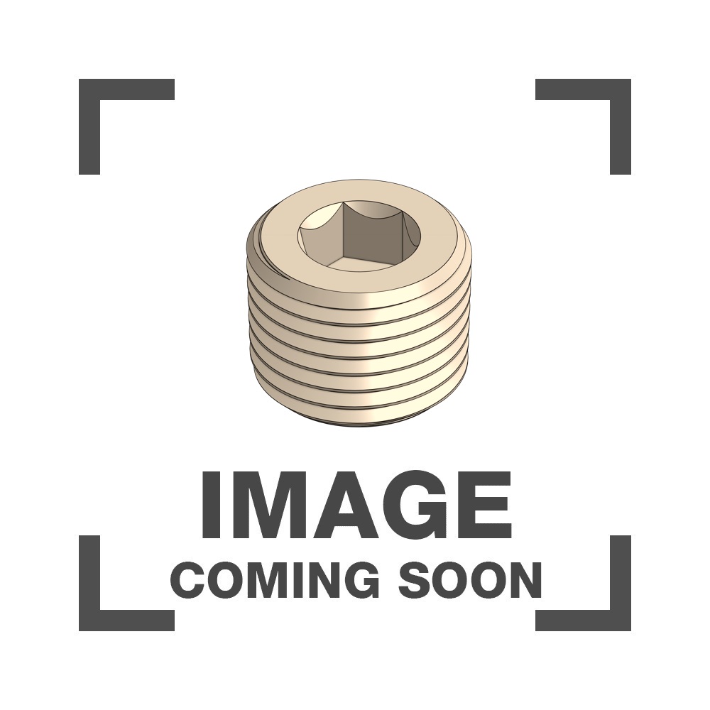 25RMPP-P,1/4 SOCKET PIPE PLUG DIN 906 PLAIN,Specialty Bolt & Screw, Inc.