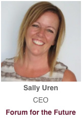 The Future of Sustainability: living in nonlinear times