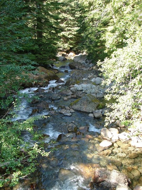 Gary Borg from Lakewood High School - Classmates