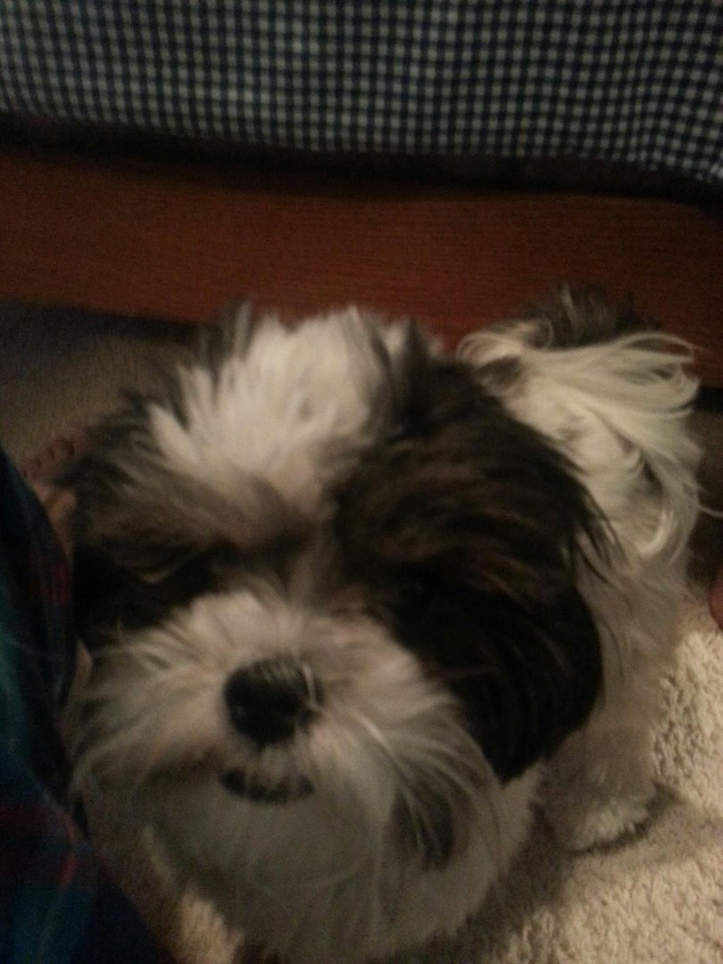 Kimberly Vargo from St. Vincent/St. Mary High School - Classmates