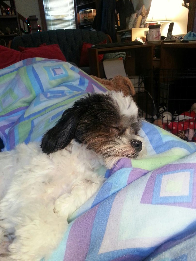 Kimberly Vargo from St. Vincent/St. Mary High School - Classmates