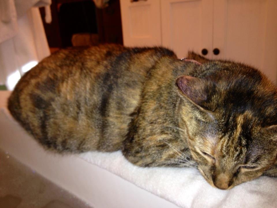 Karen Betts from Annie R. Morgan Elementary School - Classmates