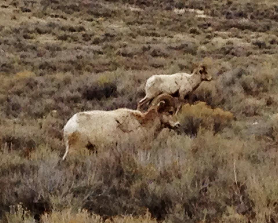 Daniel Scipione from Bowling Green State University - Classmates