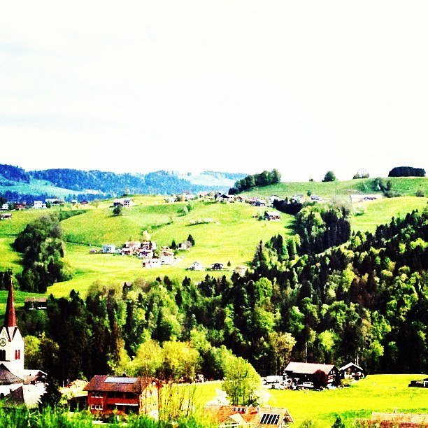 Mahsa Zeinali from Chaminade High School - Classmates