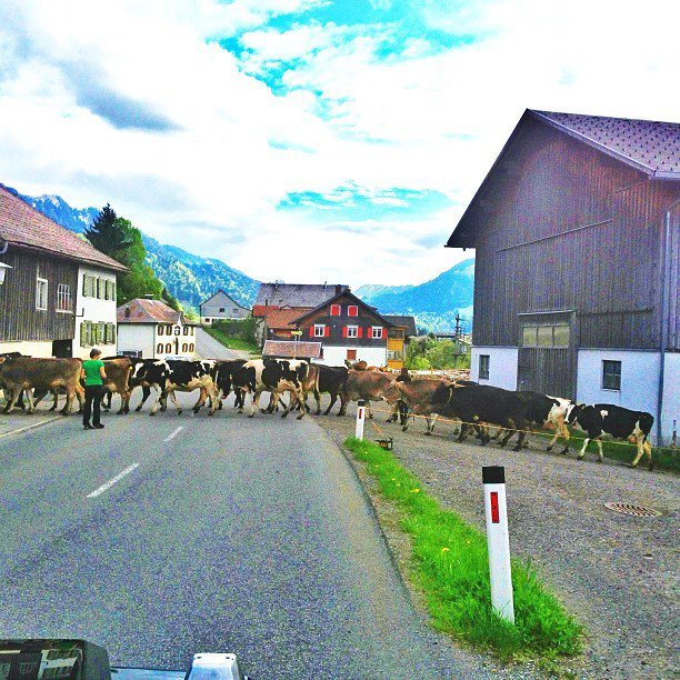 Mahsa Zeinali from Chaminade High School - Classmates