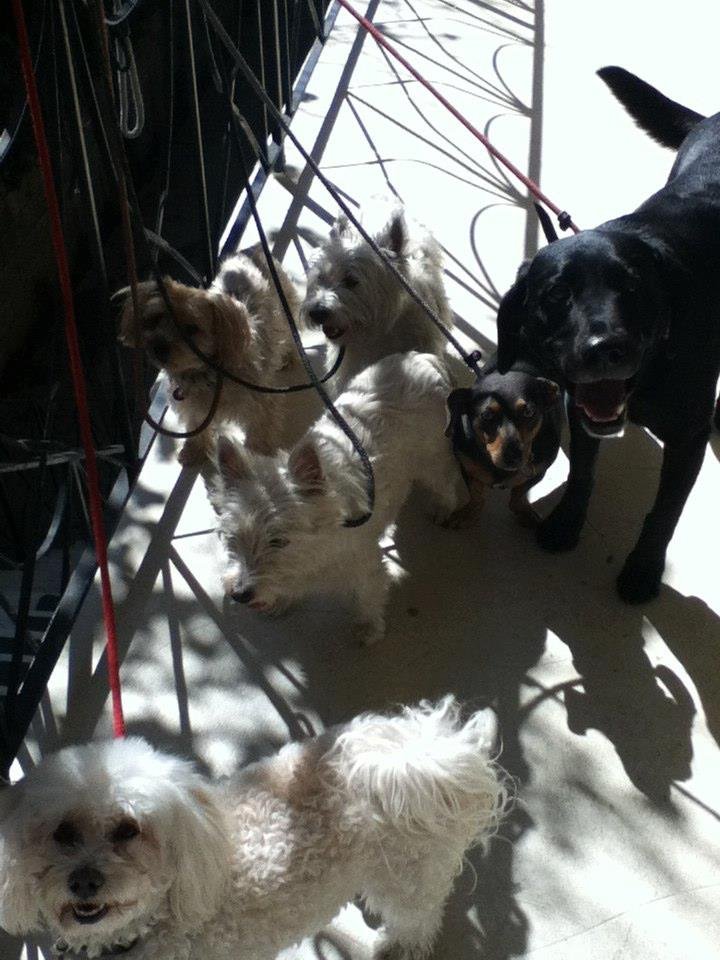 Lauri Crossman from Santa Ynez Valley Union High School - Classmates