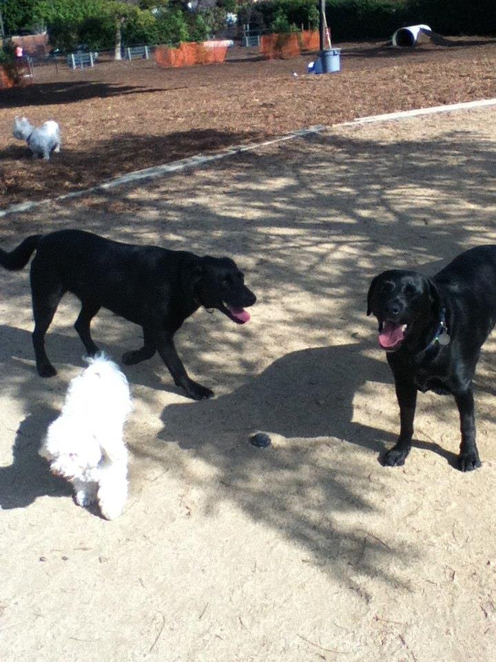 Lauri Crossman from Santa Ynez Valley Union High School - Classmates