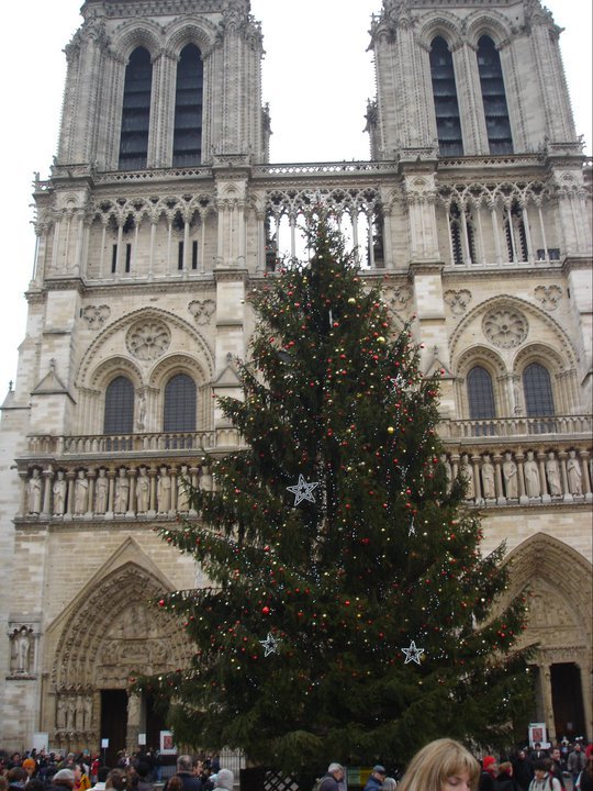 Sean Leotta from Massapequa High School - Classmates