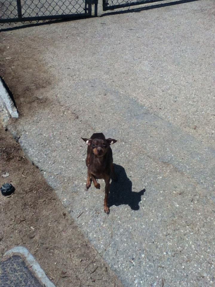 Lauri Crossman from Santa Ynez Valley Union High School - Classmates