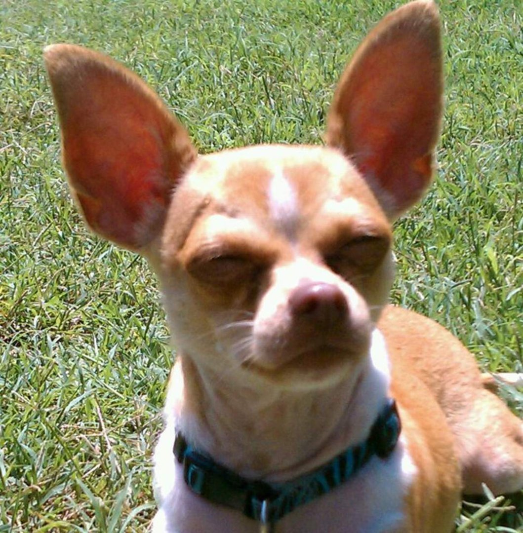 Shonda Pickering from Rangeview High School - Classmates