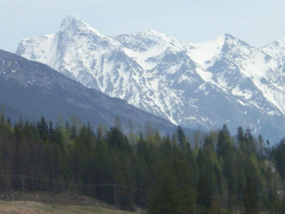 Lisa Weyer from St. Cloud Technical High School - Classmates