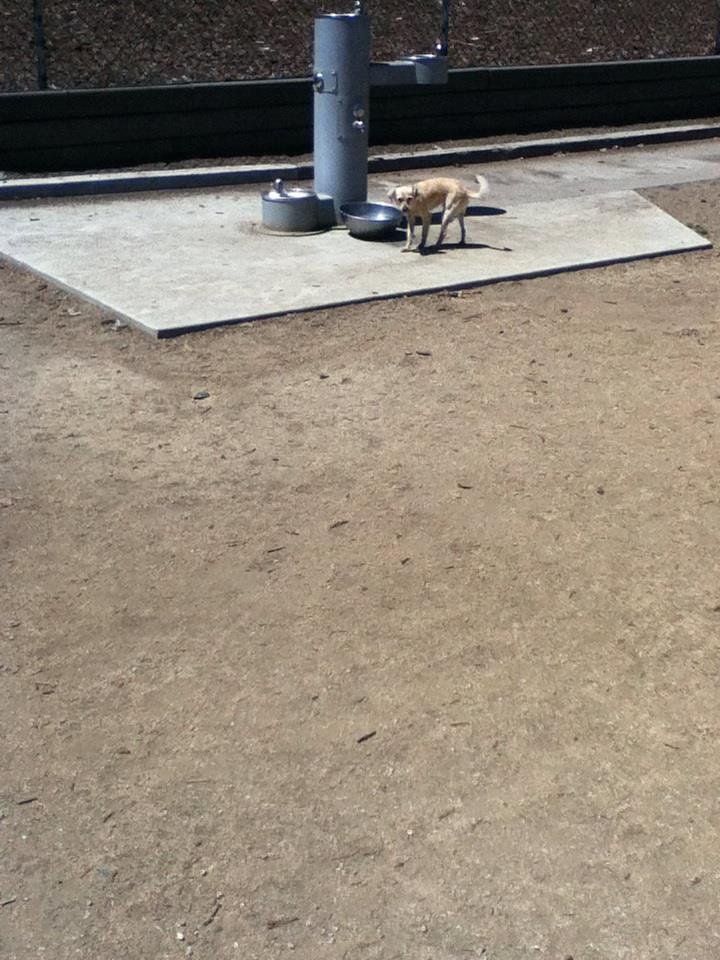 Lauri Crossman from Santa Ynez Valley Union High School - Classmates