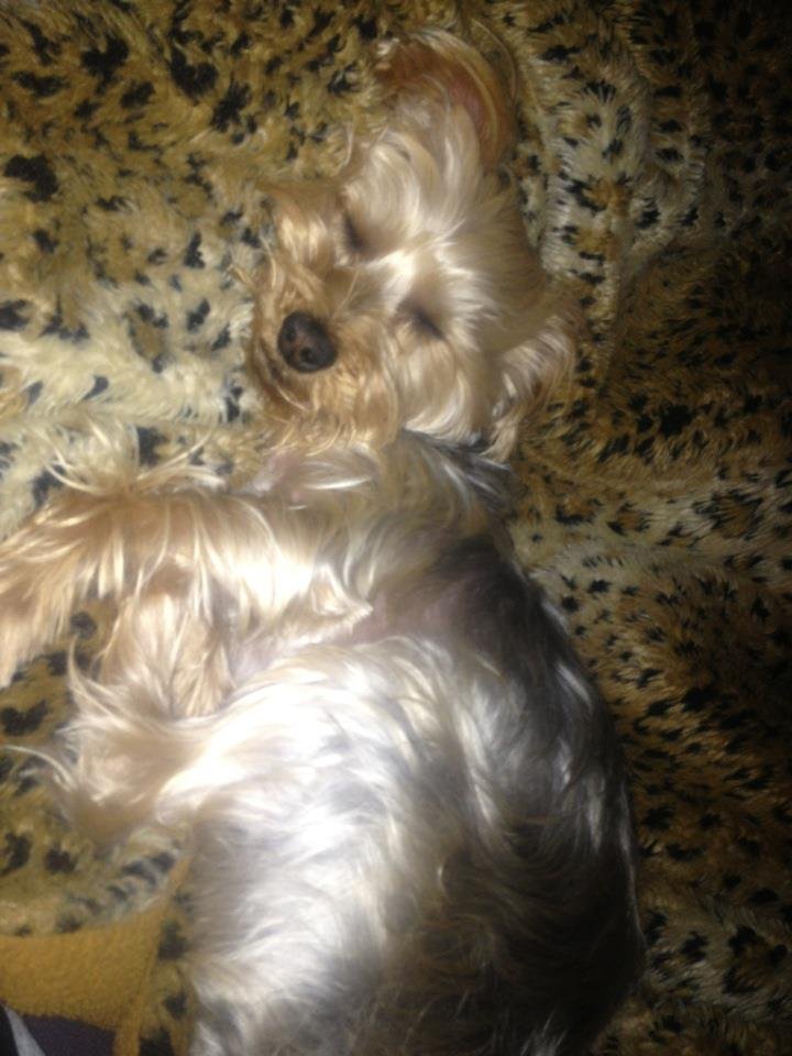 Becky Mauldin from Roby High School - Classmates